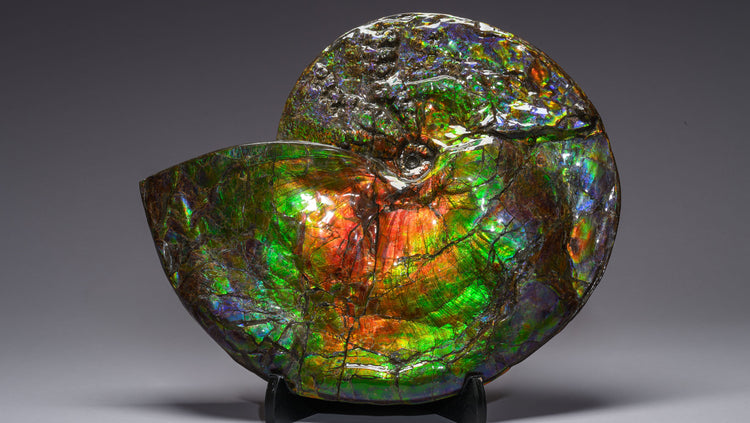 Explore Curated Art Collections | Modern & Contemporary Works - PhillipsX