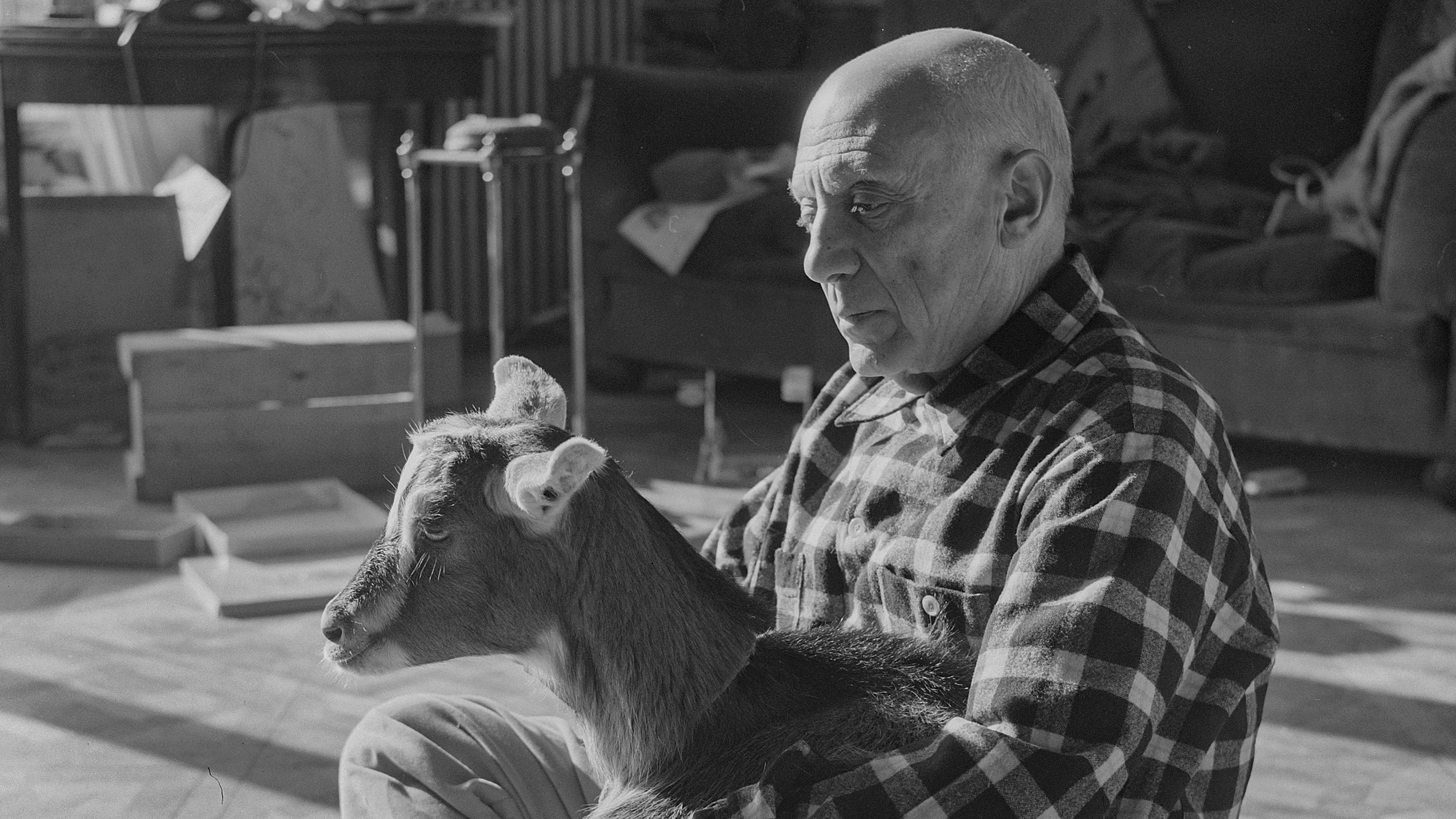 Pablo Picasso: 'The Animal Kingdom' | Explore Picasso's Works – PhillipsX