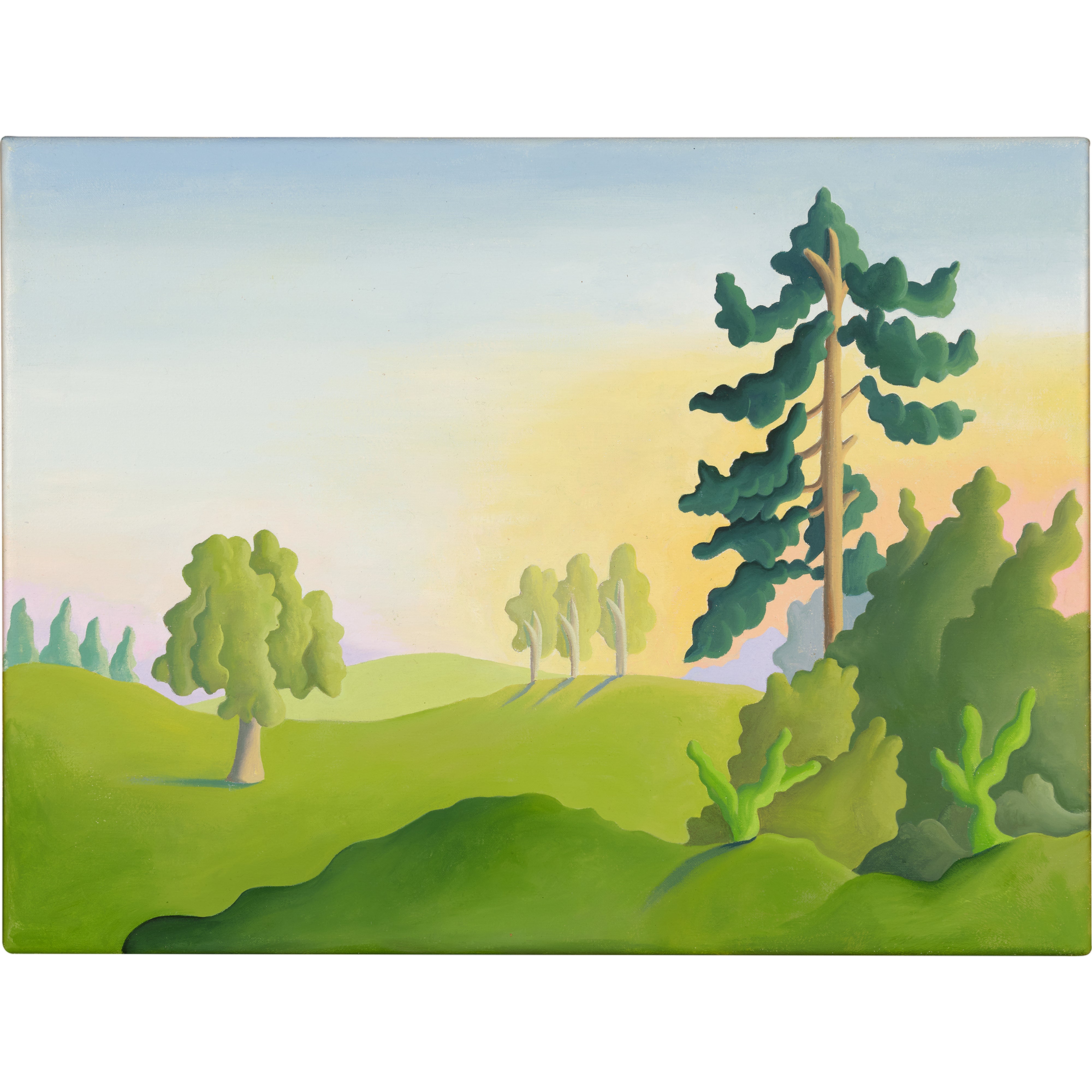 Daisy Dodd-Noble – PhillipsX