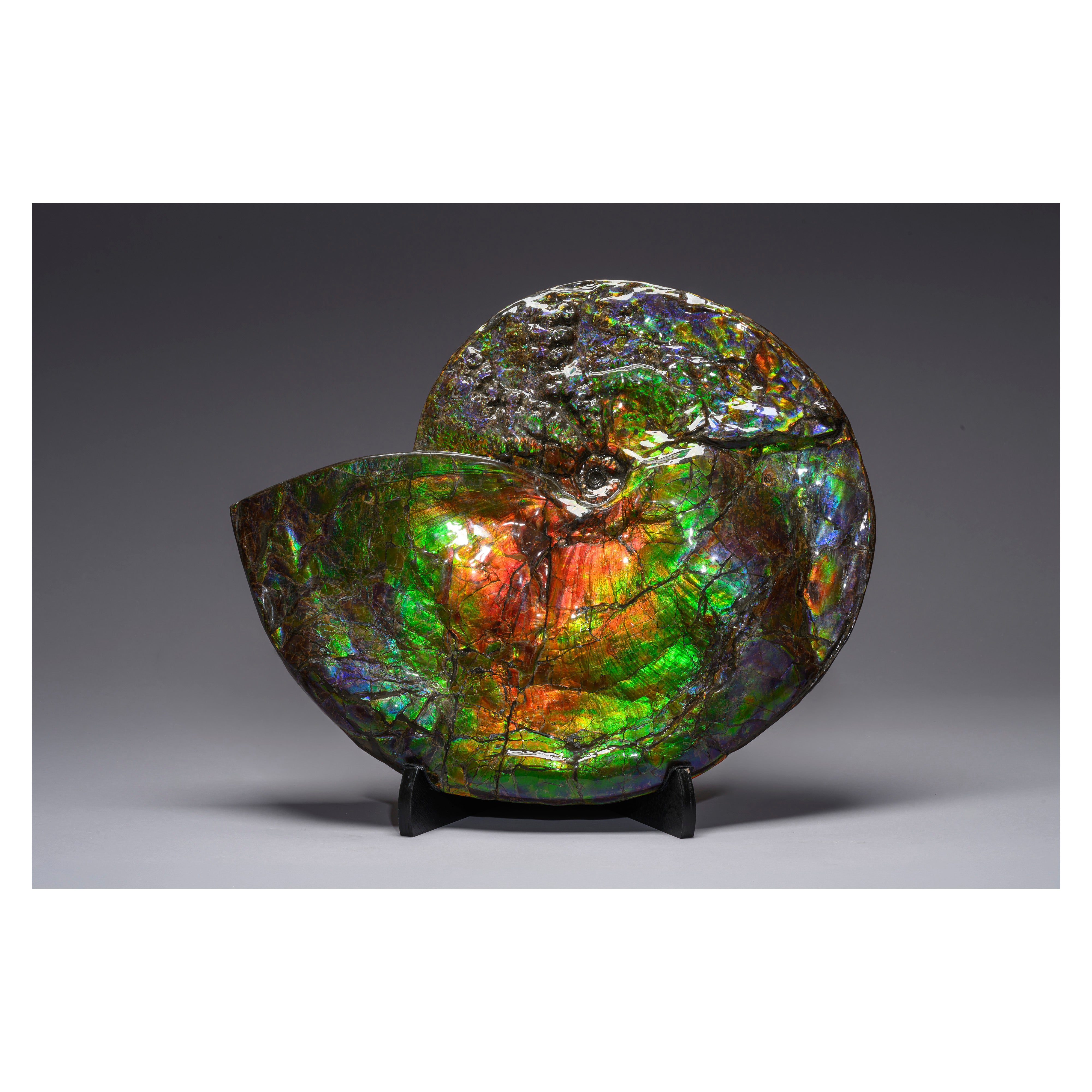 The Northern Aurora Shell – PhillipsX